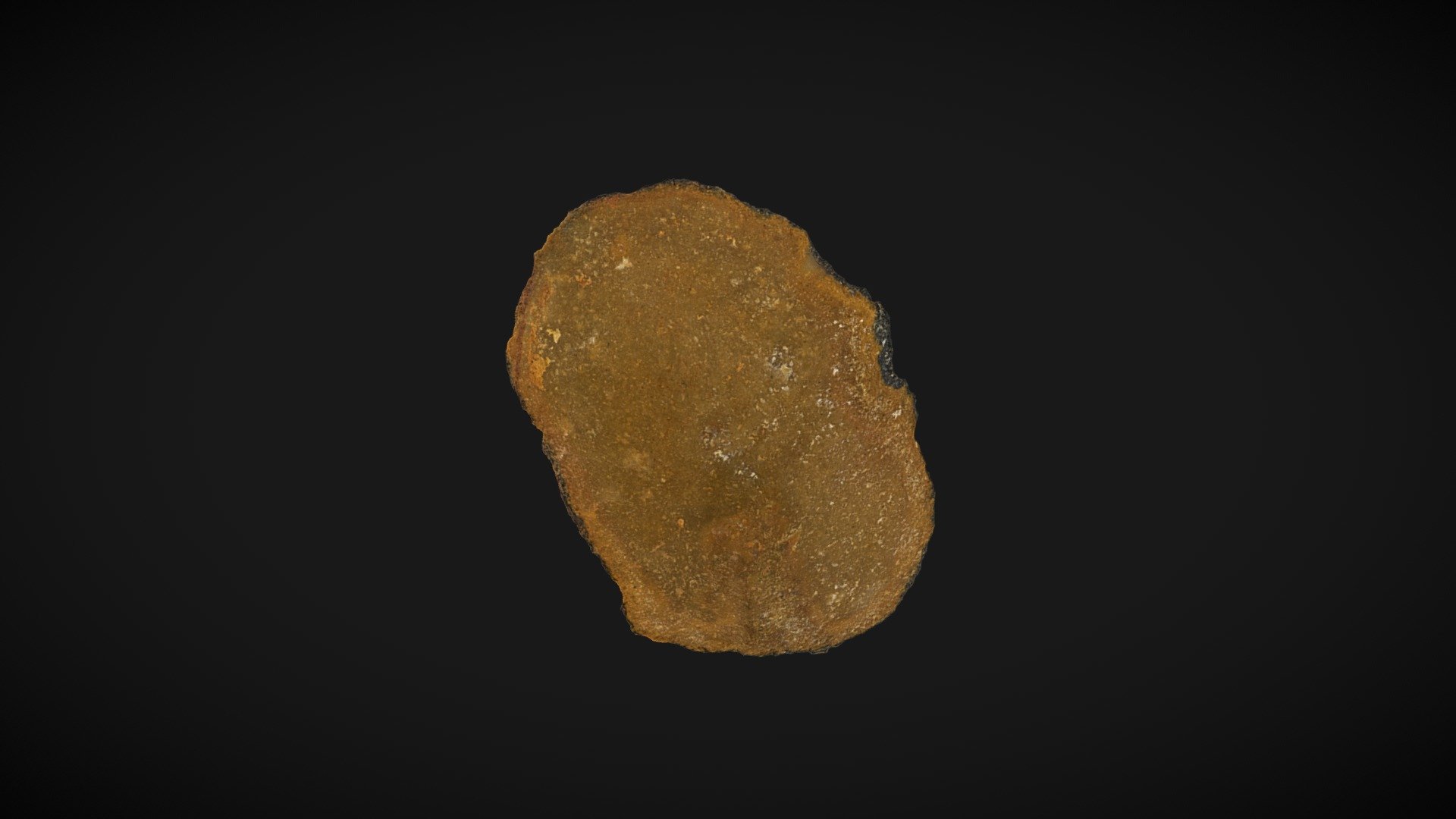 Primary flake with use traces (Medzhybizh 1) - 3D model by Naumenko ...