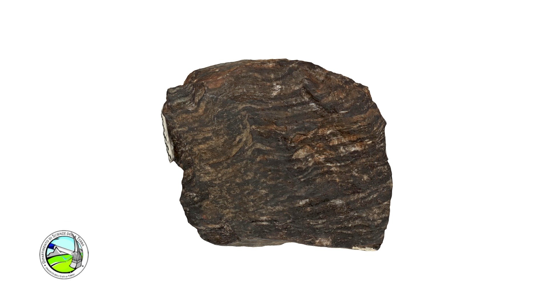 MC3 - Scisto cornubianitico - 3D model by Dipartimento di Scienze della ...