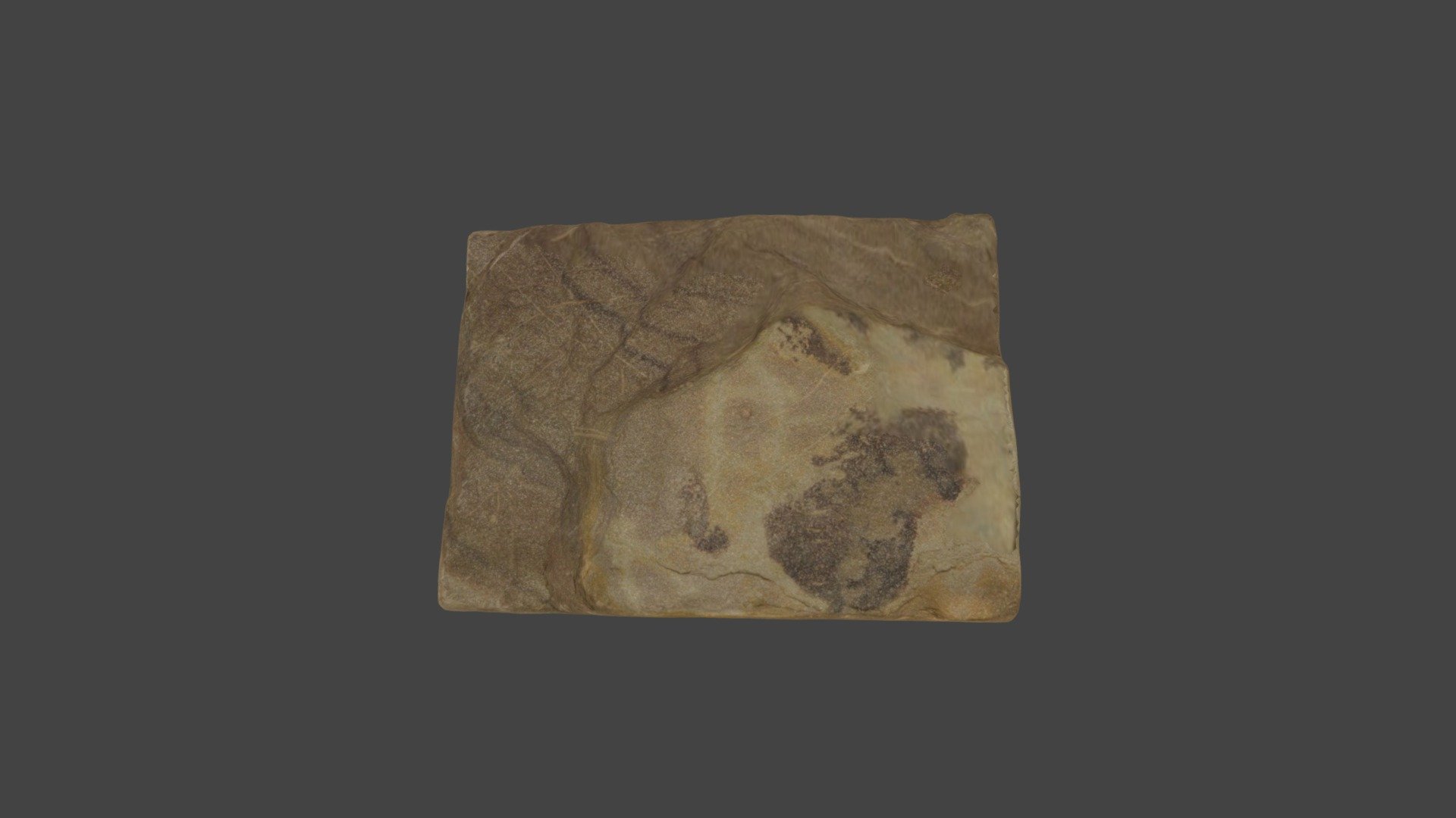 Grès Micacés (roche sédimentaire) - 3D model by geoscience_lemans ...
