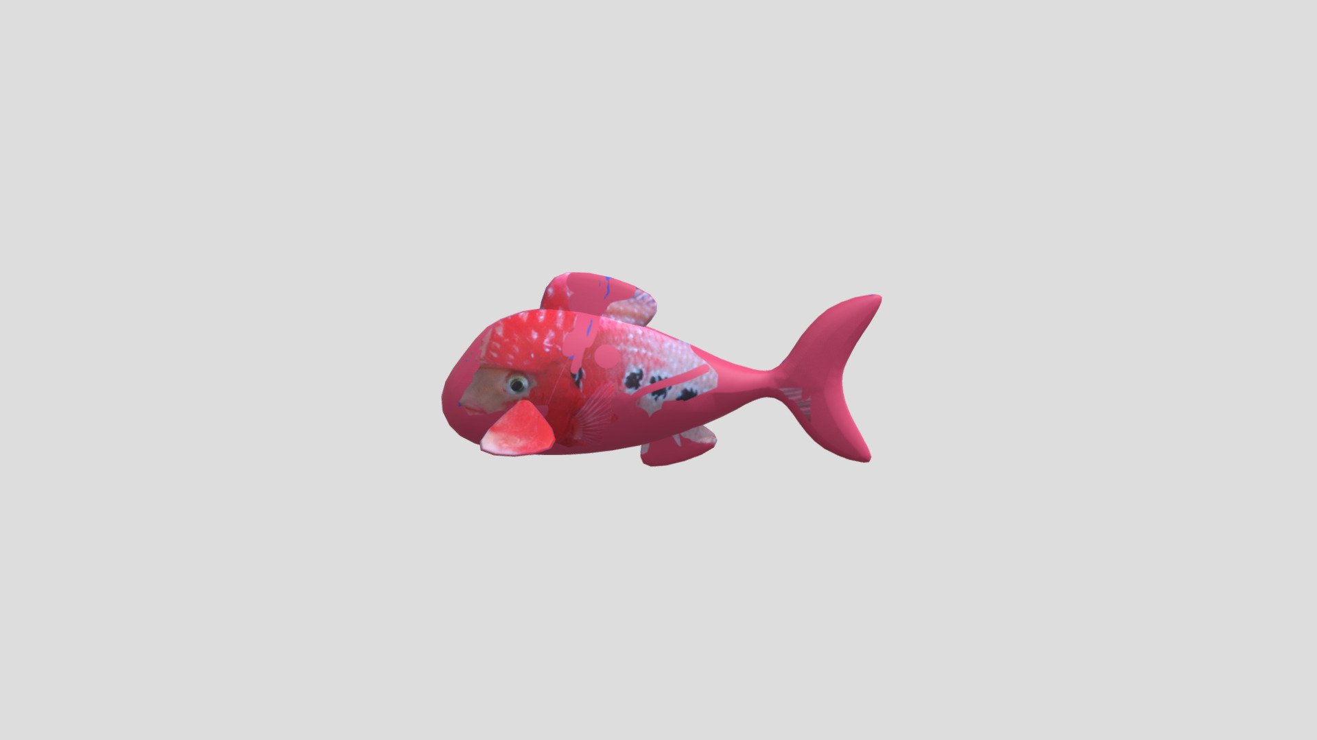 Ikan cantik - 3D model by sabrawatyhgalema [63d847f] - Sketchfab