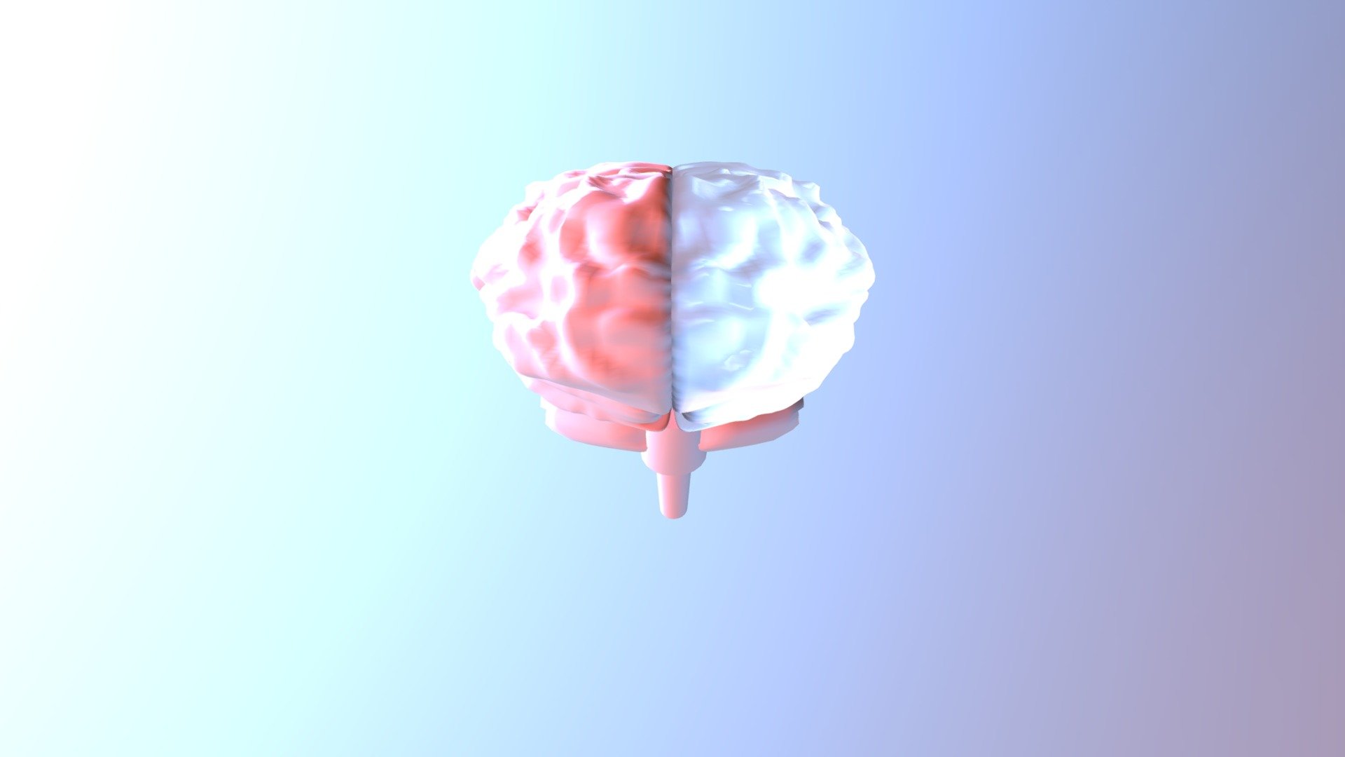Brain - 3D model by s1123965 [63e7670] - Sketchfab