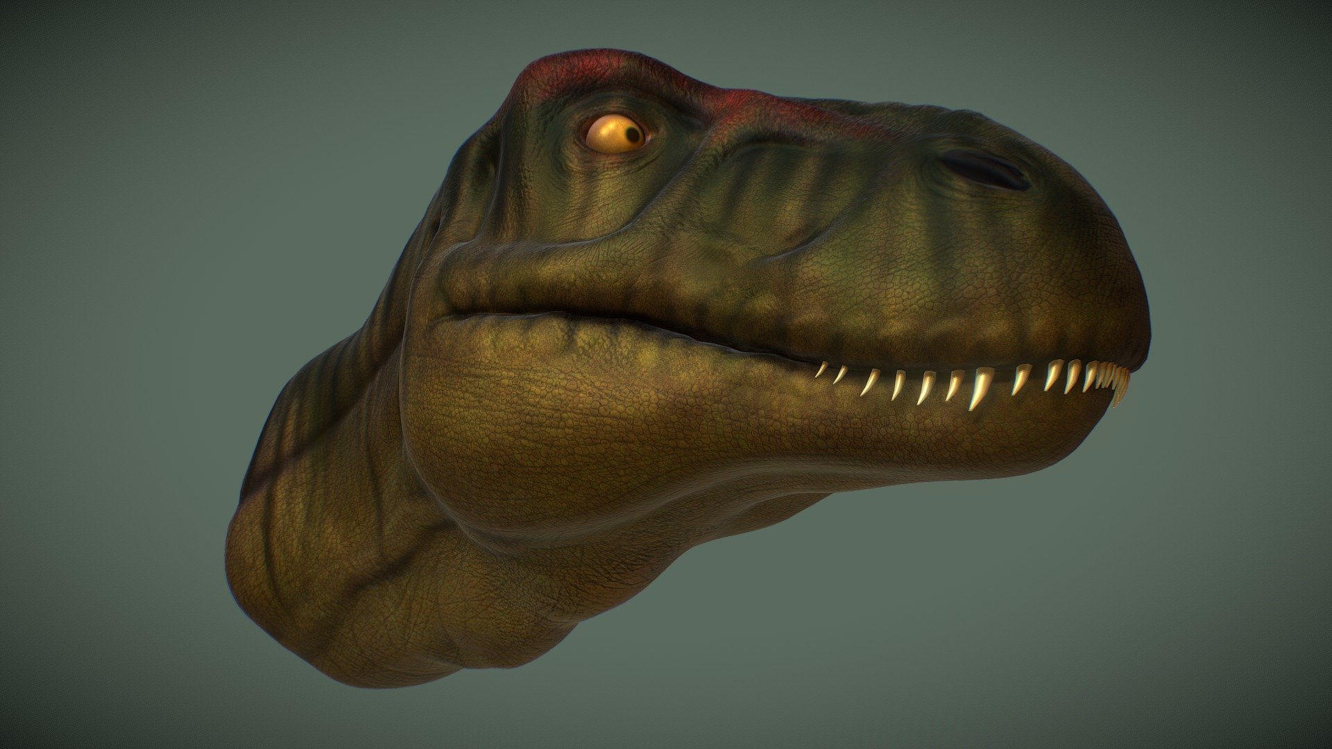 T-REX Head Study - 3D model by BrunoGPS [63f550b] - Sketchfab