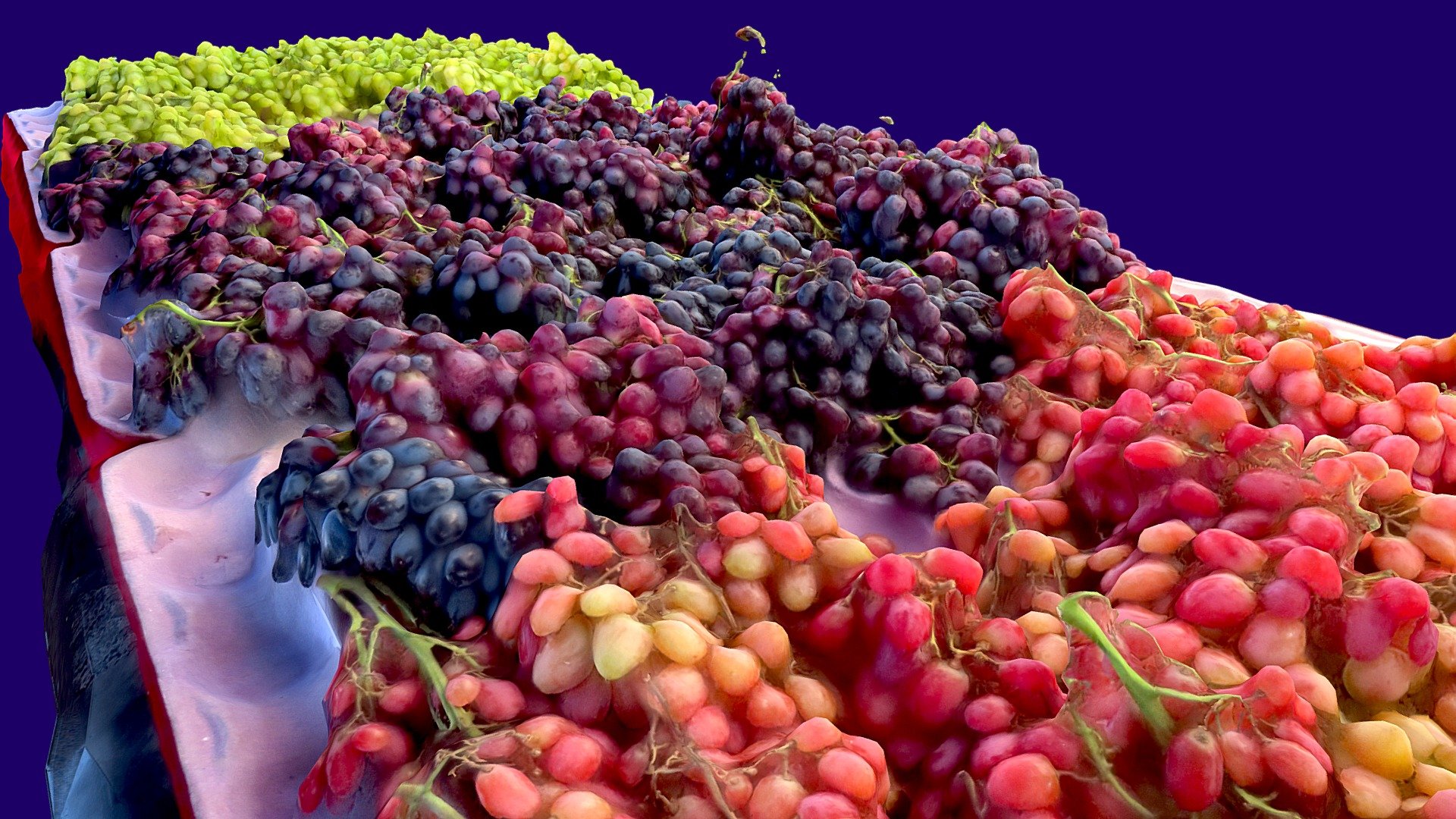 California Table Grapes - Buy Royalty Free 3D model by John Toeppen ...