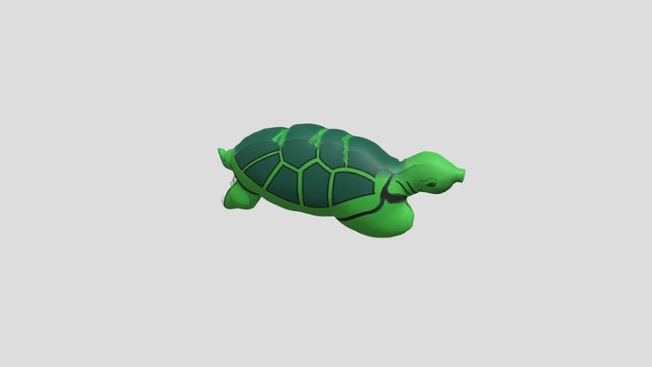 Kura-kura 3D models - Sketchfab