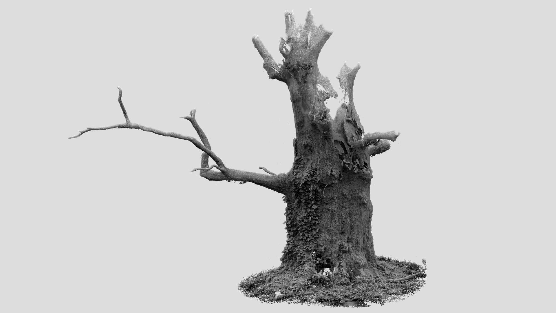 Gog, Oaks of Avalon - 3D model by SCATTER (@SCATTER.project) [640a58e ...