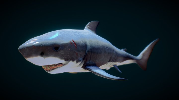 Jaws 3D models - Sketchfab