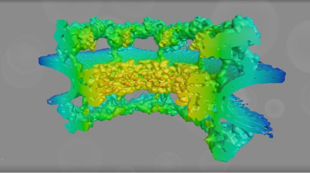 Human nuclear pore complex - NATURE 526 (2015) - 3D model by ...