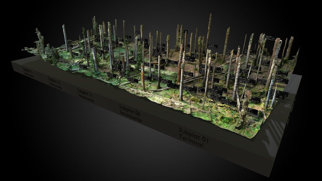 Turieto I - Forest Engineering - 3D model by 4Datum [6414837] - Sketchfab
