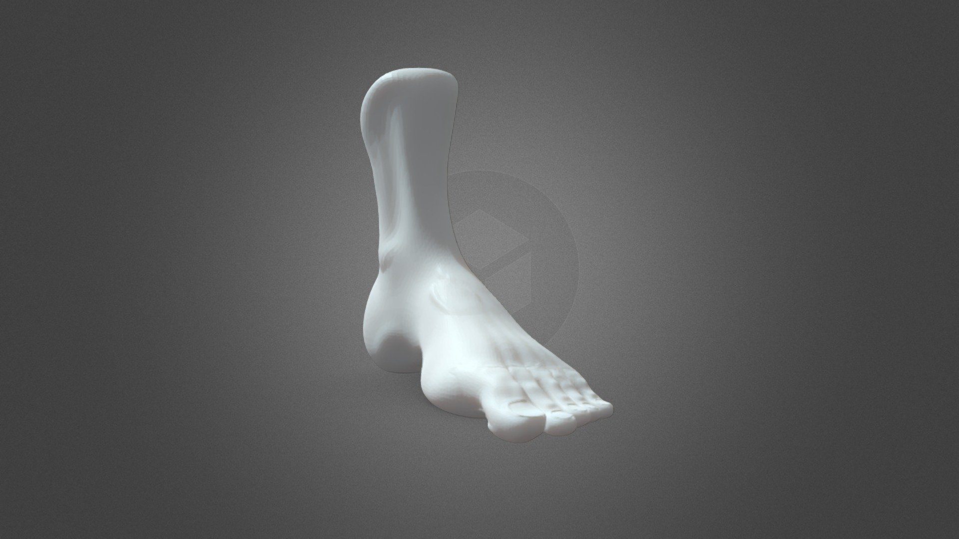 Left Foot - 3D model by INKfinita [6417219] - Sketchfab