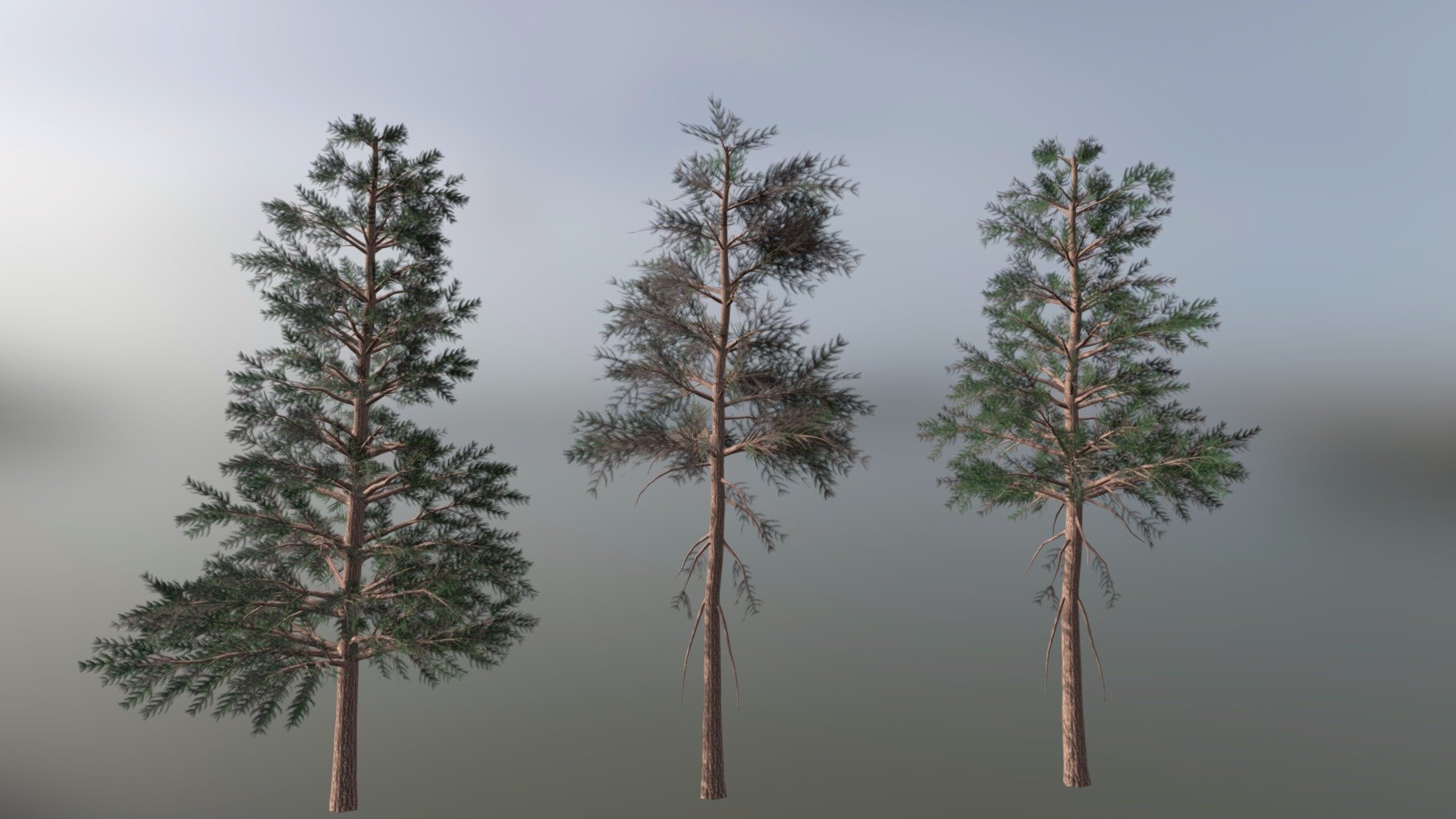 Pine_Tree_Collection - Buy Royalty Free 3D model by Nicholas-3D ...