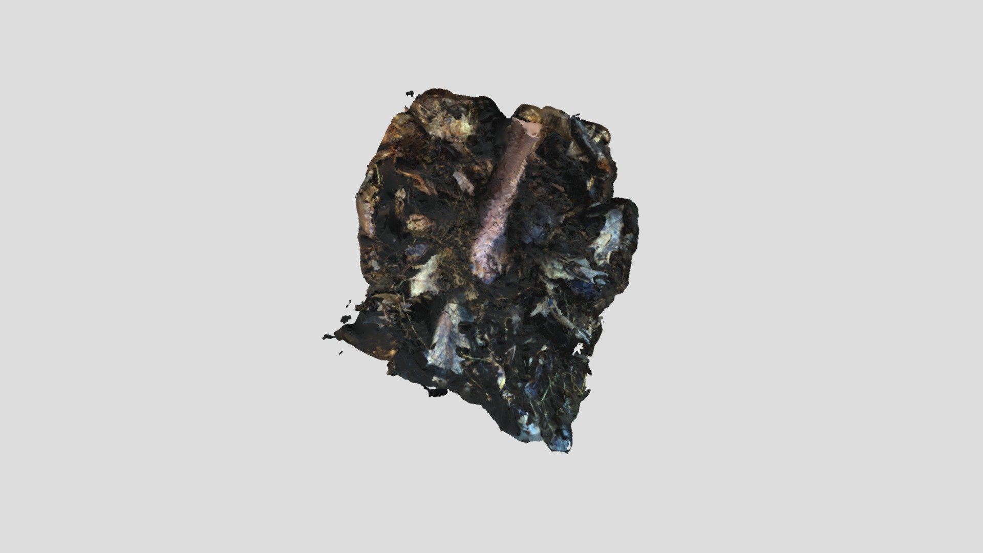 Compost, foot, body - 3D model by Wife Mother Daughter ...