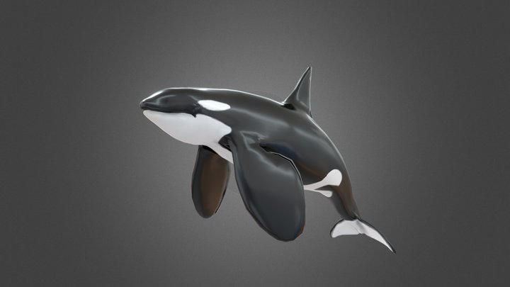 Orca 3D models - Sketchfab