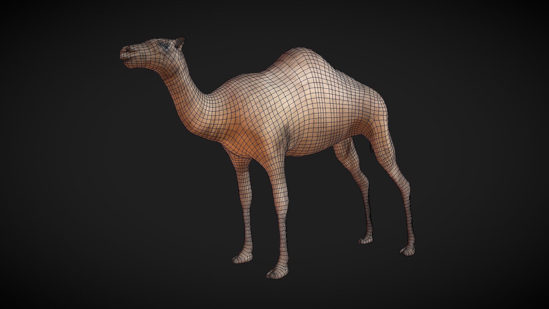camel - 3D model by 3D-DESIGN IMSA-AGENCY (@imsa) [643fcca] - Sketchfab