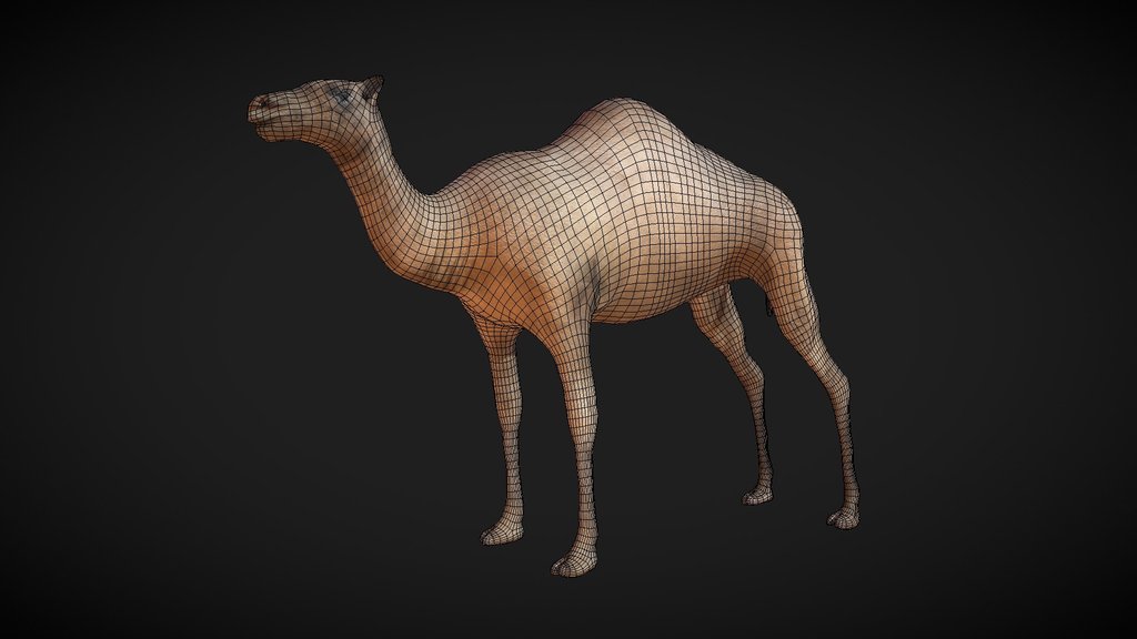 zoo - A 3D model collection by principle - Sketchfab