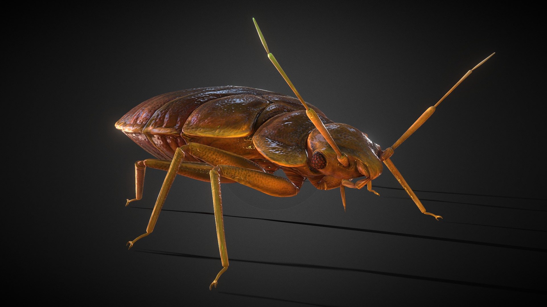 Mites - Buy Royalty Free 3D model by animod [6442566] - Sketchfab Store