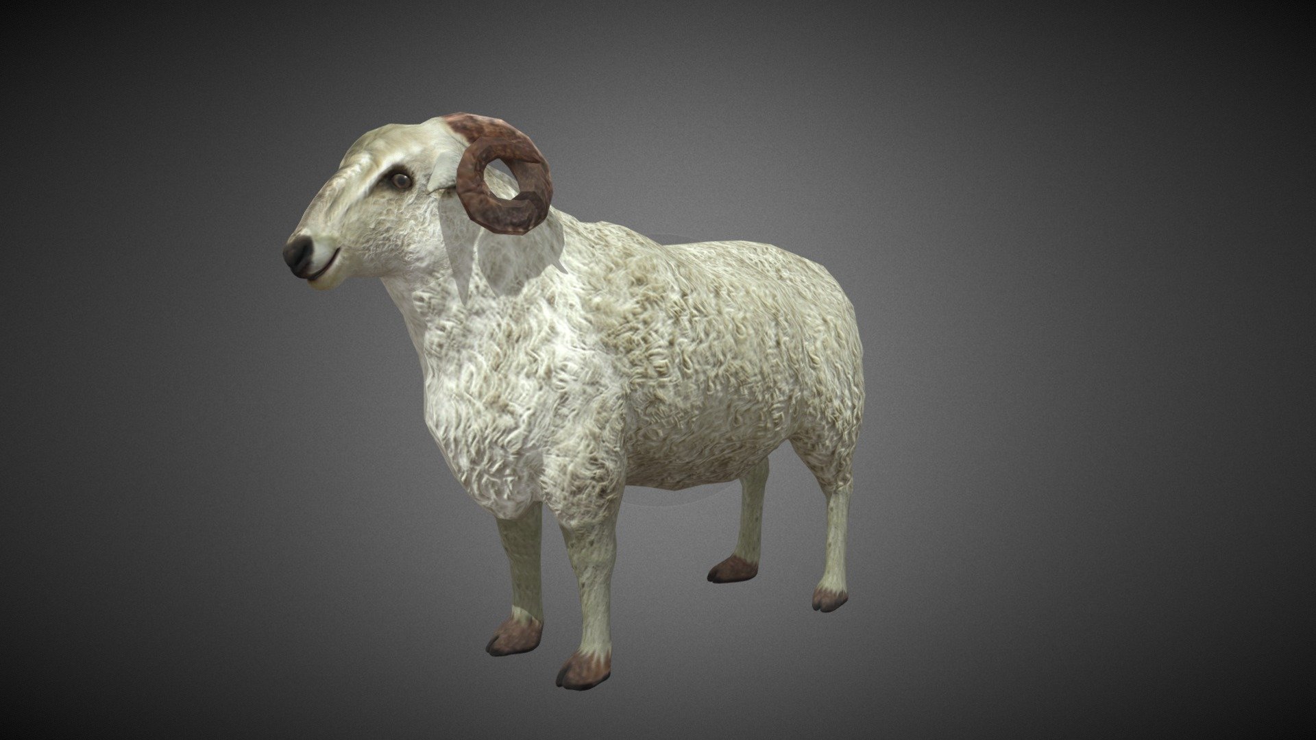 Sheep - Buy Royalty Free 3D model by tingting_er [6447528] - Sketchfab ...