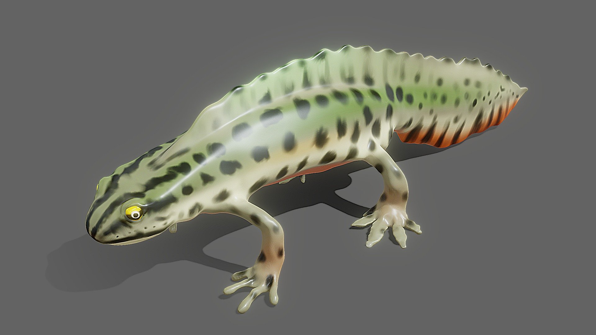 Pettyes Gőte - 3D model by FOLDFOX STUDIO (@foldfoxstudio) [6449c70 ...