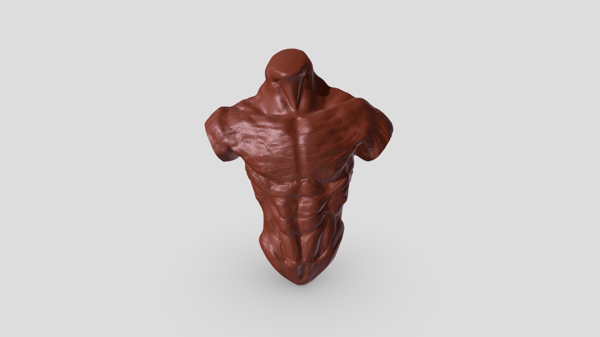 Man - Torso - 1 - 3D model by visturine [644f4a3] - Sketchfab
