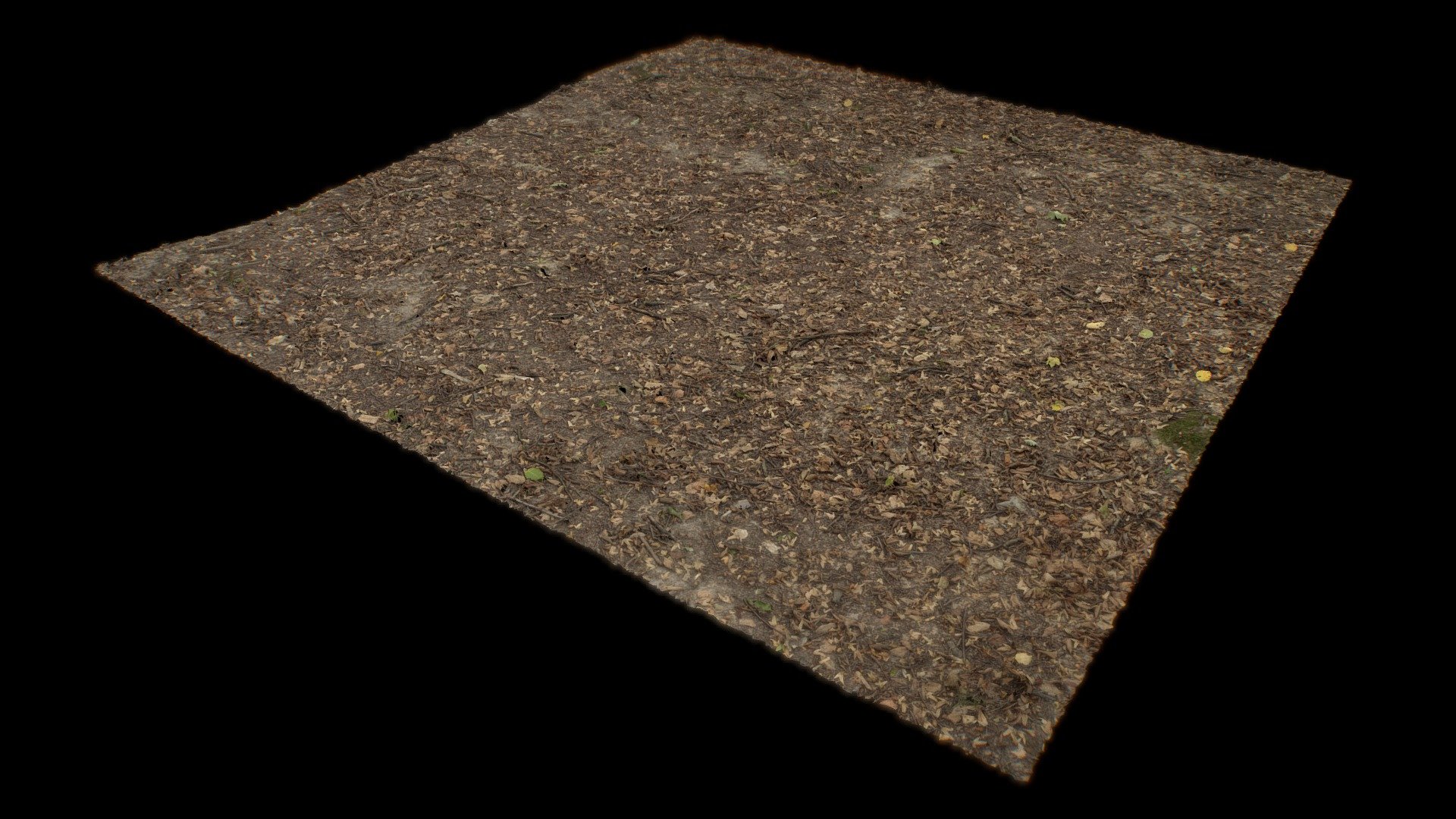 forest ground 600k raw scan - Download Free 3D model by 3dhdscan ...