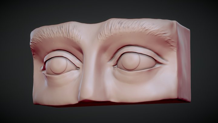 Eye-lids 3D models - Sketchfab