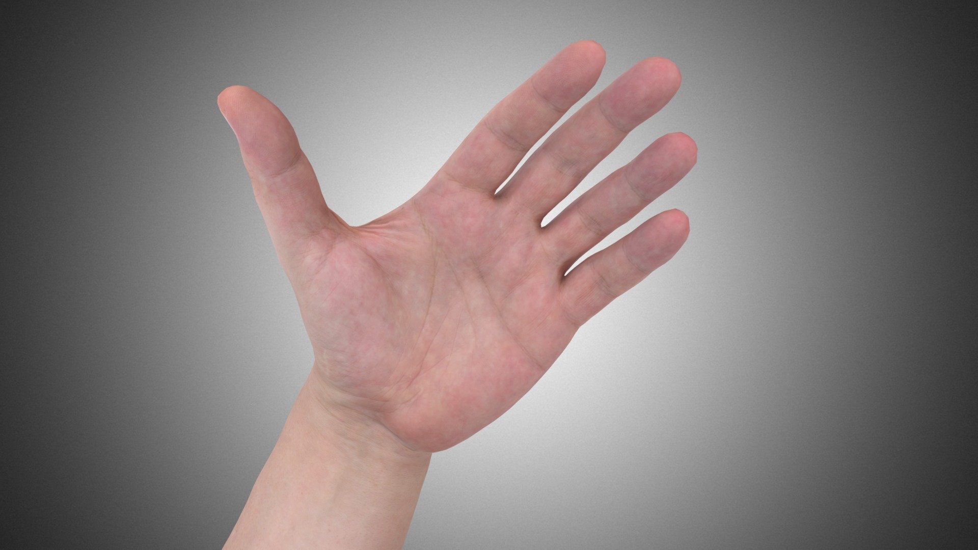 Hand Animation_SignOK - Buy Royalty Free 3D model by Frank.Zwick (@Frank_Zwick) [645fe97 ...