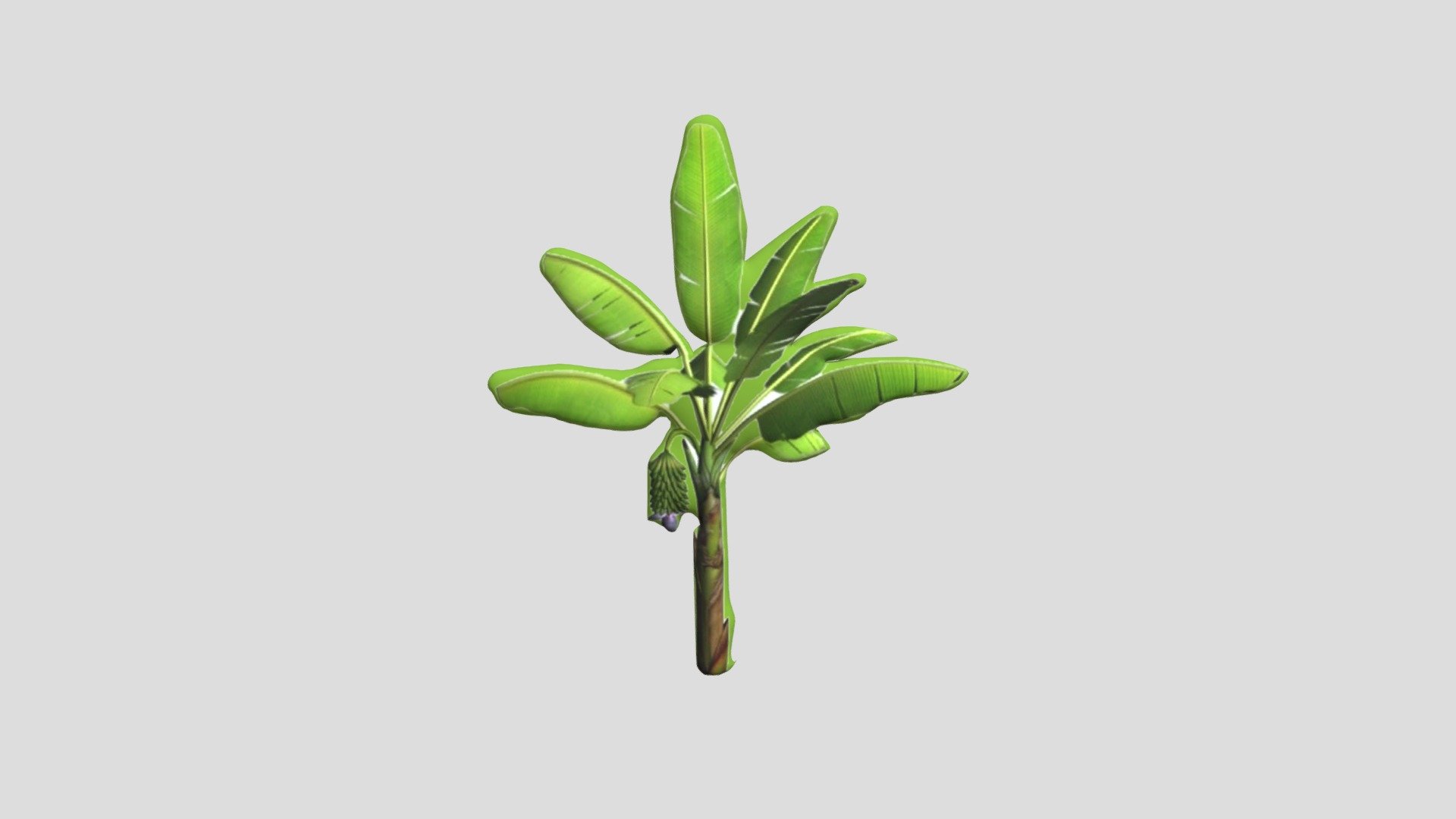 Pohon Pisang - Download Free 3D model by atifitriani89 [64643c5 ...
