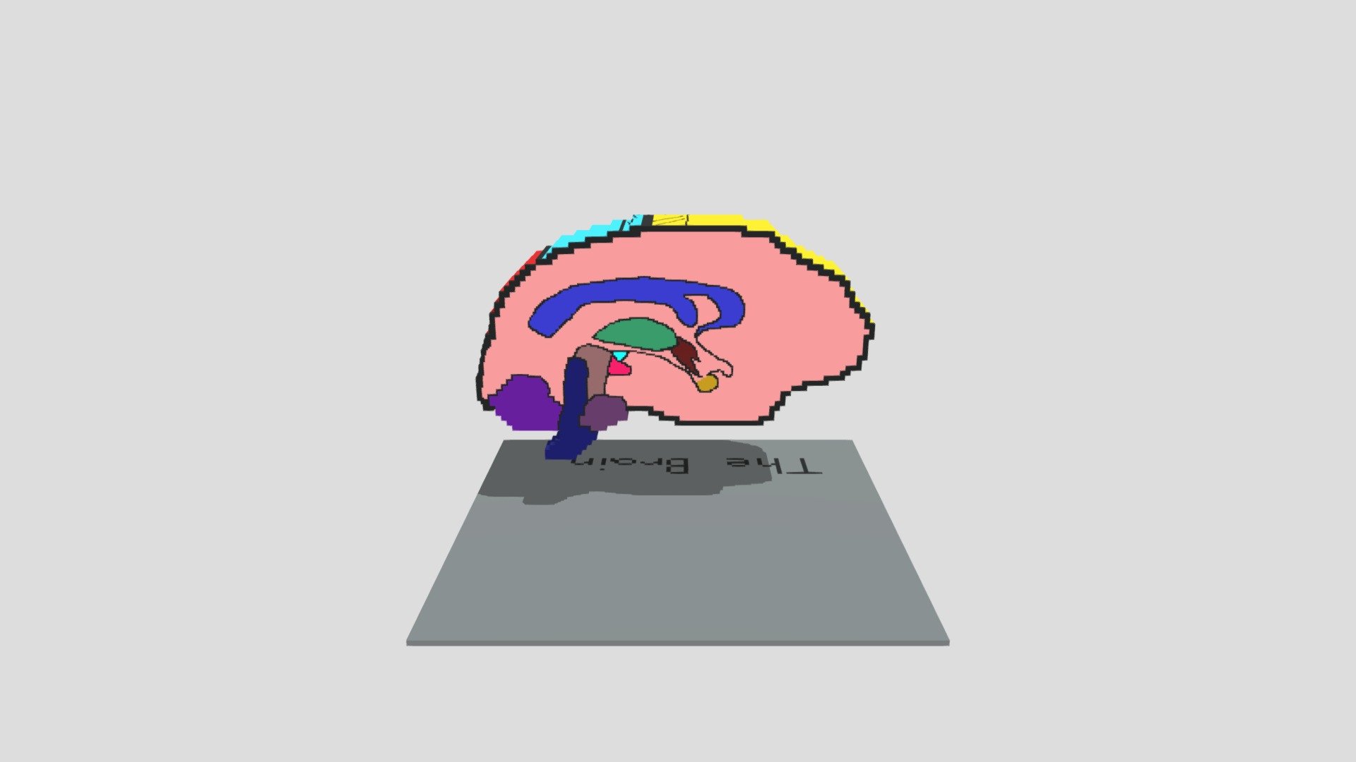 Brain Project - 3D model by Rowin30thhh [646498c] - Sketchfab