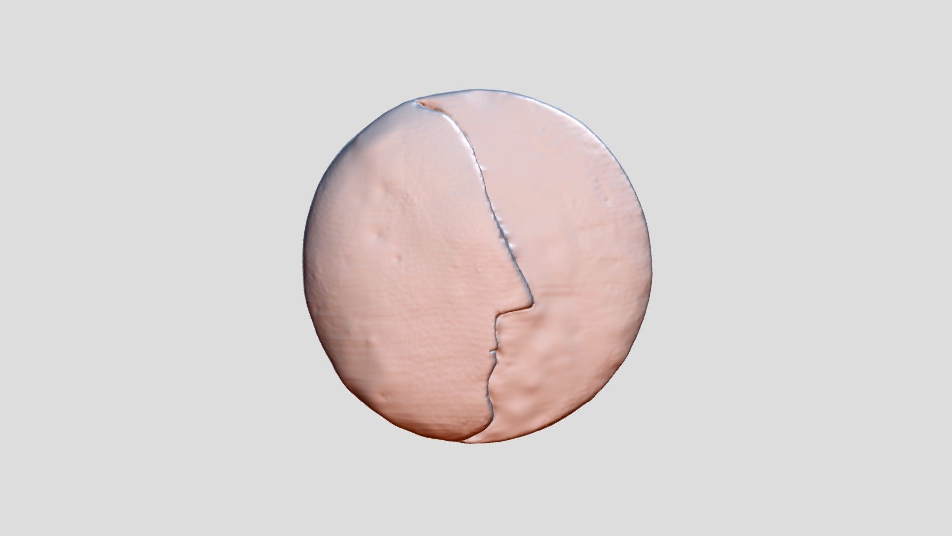 Face Coin Centered 04172024 - 3D model by Capture It In 3D ...
