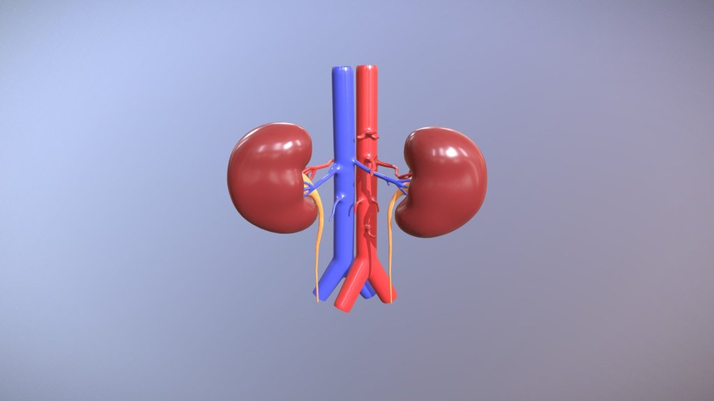 wert - A 3D model collection by yadcswqda (@ismaildeniz) - Sketchfab