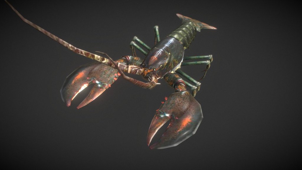 Lobster - 3D model by YOURS (@double2) [64702b7] - Sketchfab