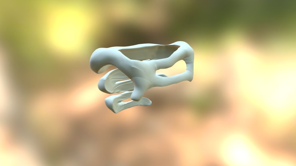 Amoeba A - 3D model by ise_ivanise [6478268] - Sketchfab