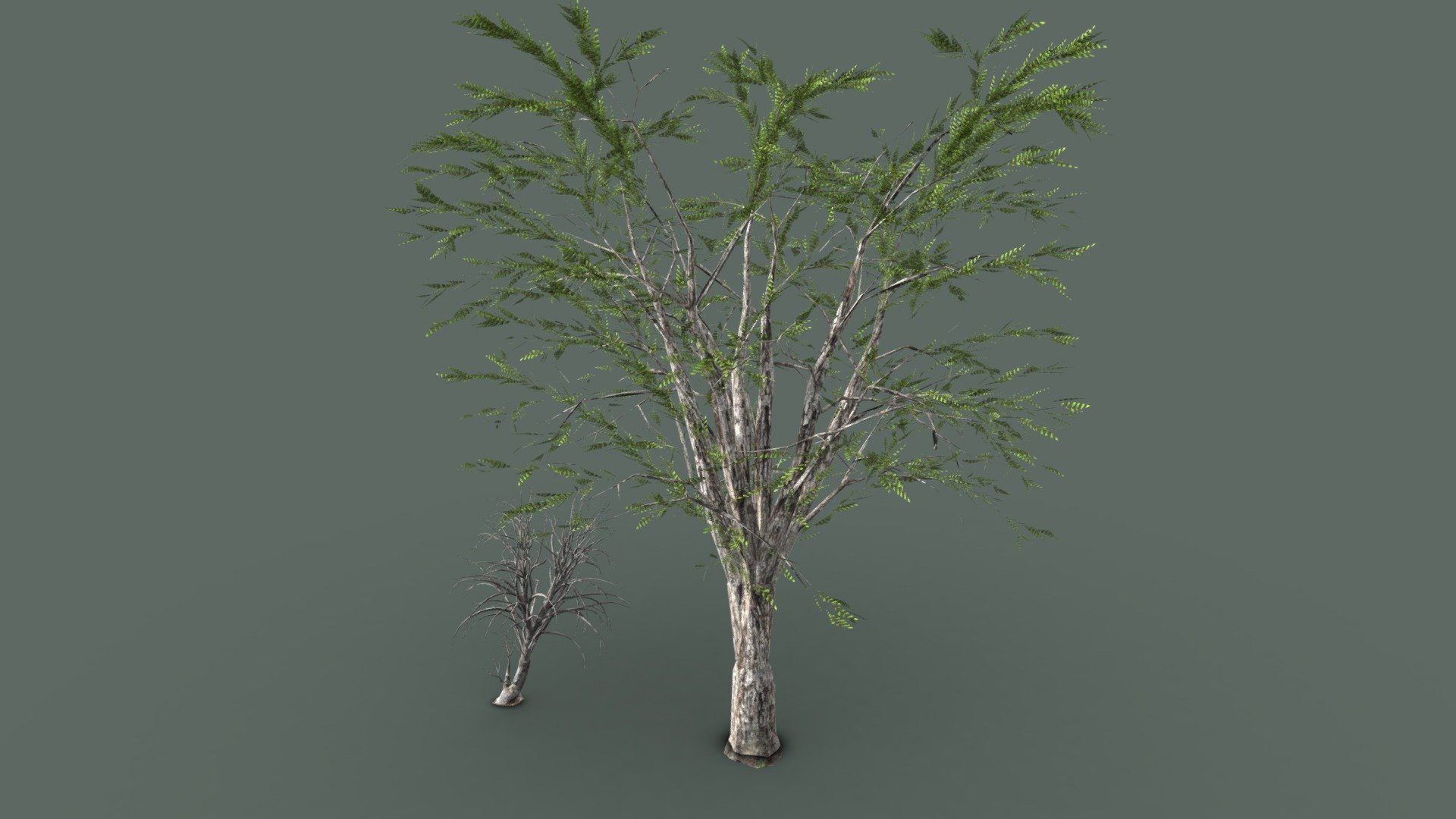 Lowpoly Tree Scan Pack 3: Black Walnut+Dead Tree - Download Free 3D ...
