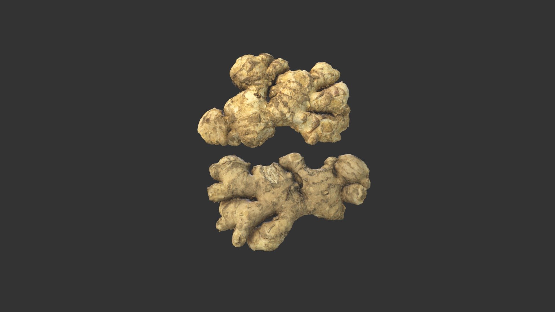 211222 Ginger - Download Free 3D model by Andykk (@andykwok91011 ...