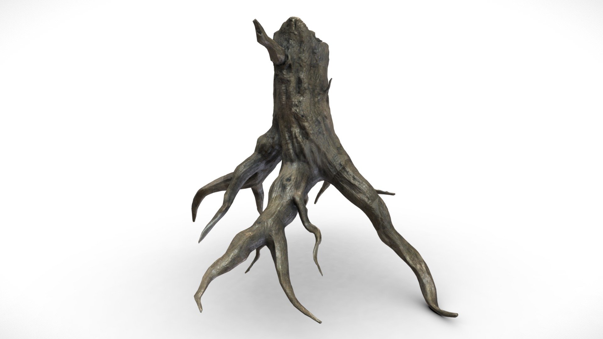 Fantasy Forest Tree Stump C - Scary Dead Roots - Buy Royalty Free 3D ...