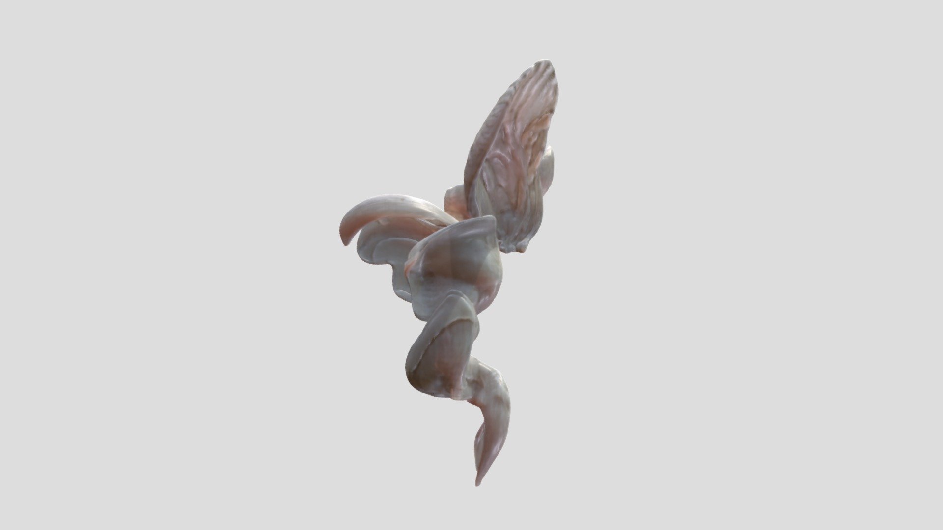 Fuller-shells-sketch-06 03 - 3D model by bourgoynestudio [64908bd ...