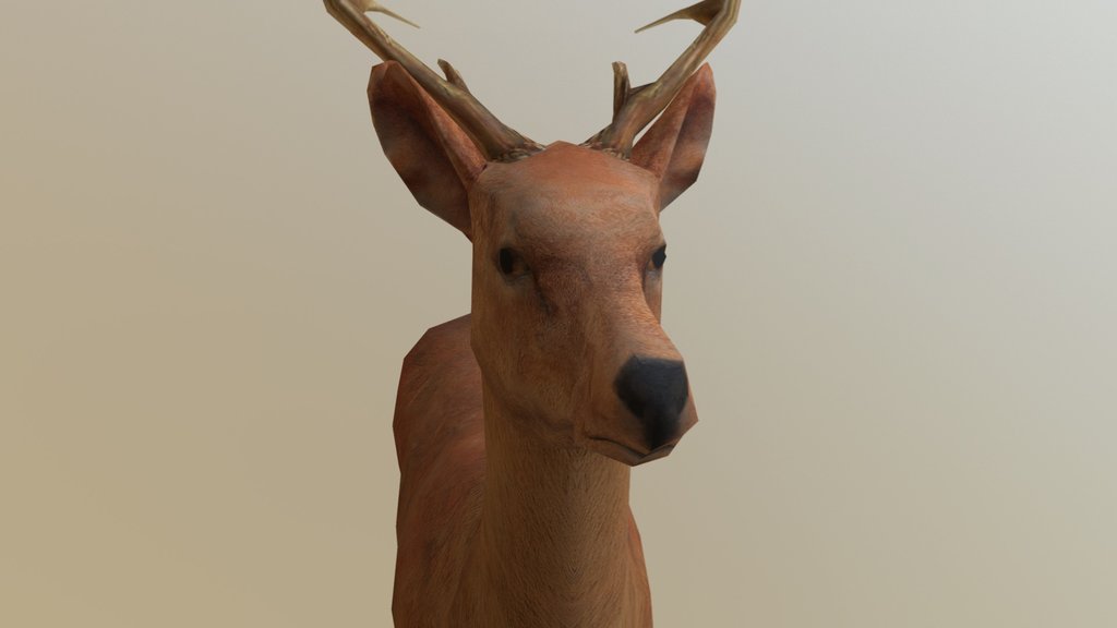 Animals - A 3D model collection by Jorno888 - Sketchfab