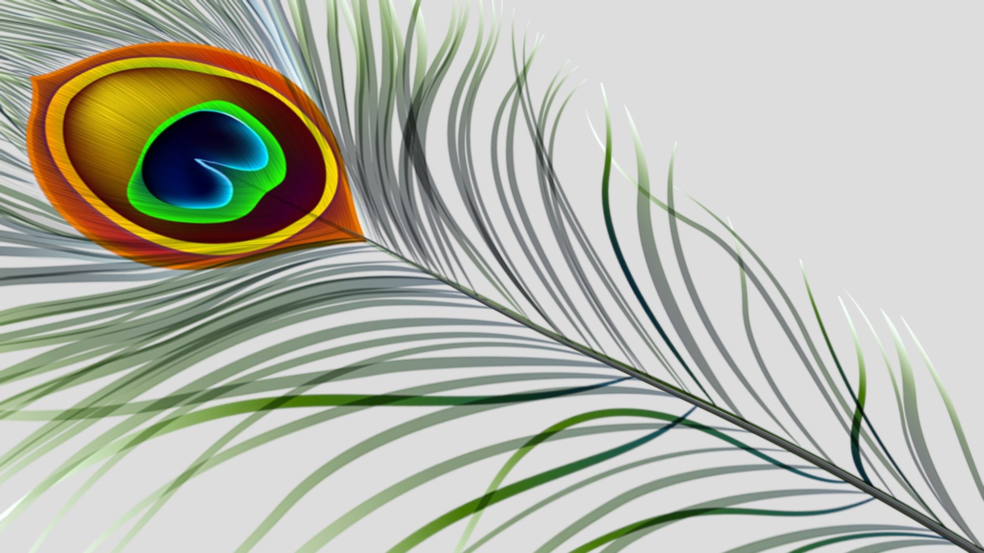 Peacock feather v.6 - pluma pavo real 3d - Download Free 3D model by vmmaniac [649afc1] - Sketchfab