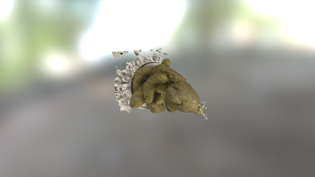 Elliot Bear - 3D model by Scott.Orme [64a5a19] - Sketchfab