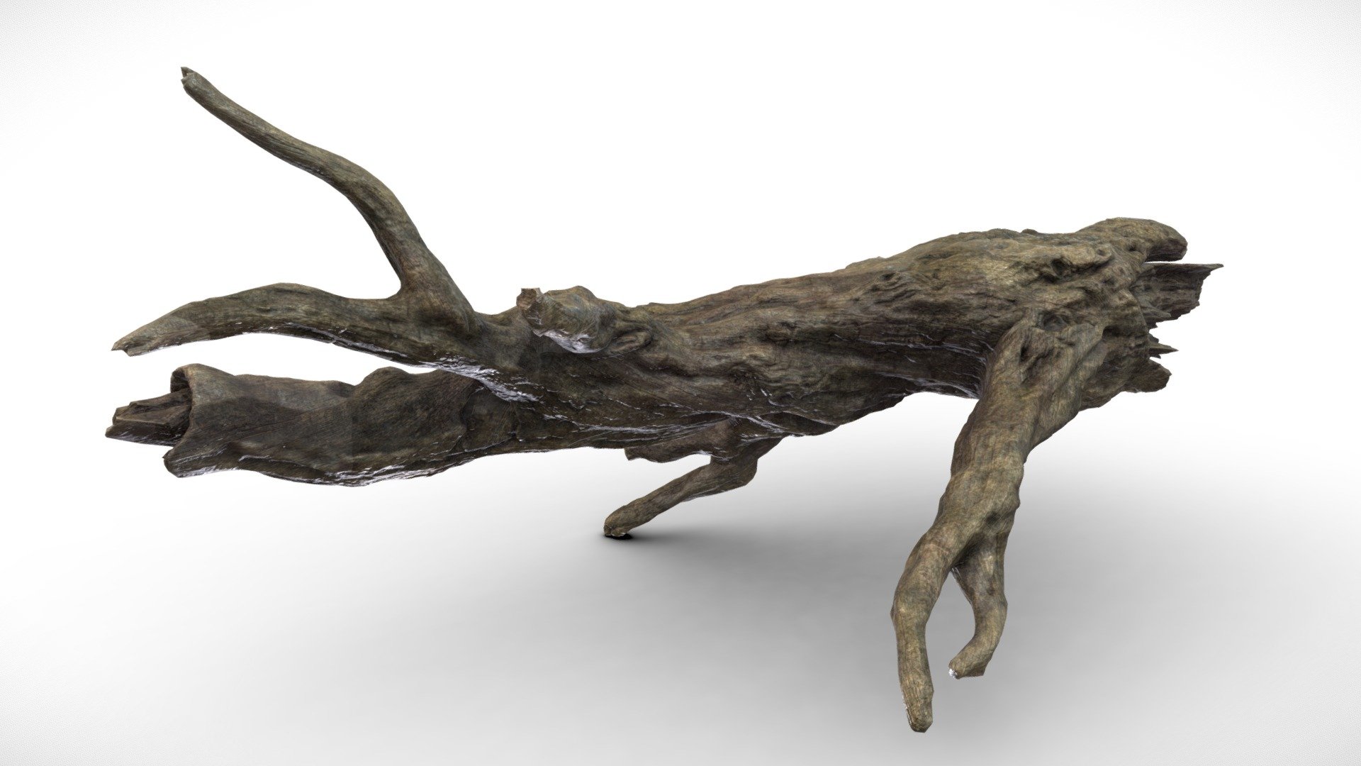 Fantasy Forest Tree - Fallen Dead Roots B - 4k - Buy Royalty Free 3D ...