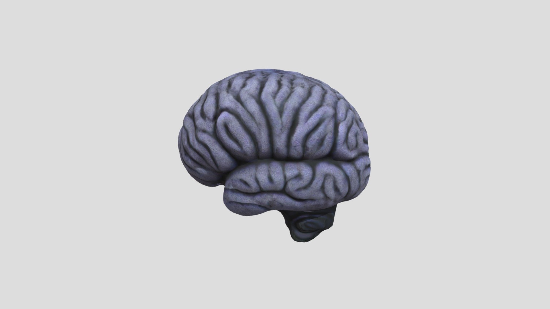 Alian Brain - 3D model by Art Renders (@ArtRenders) [64ac054] - Sketchfab