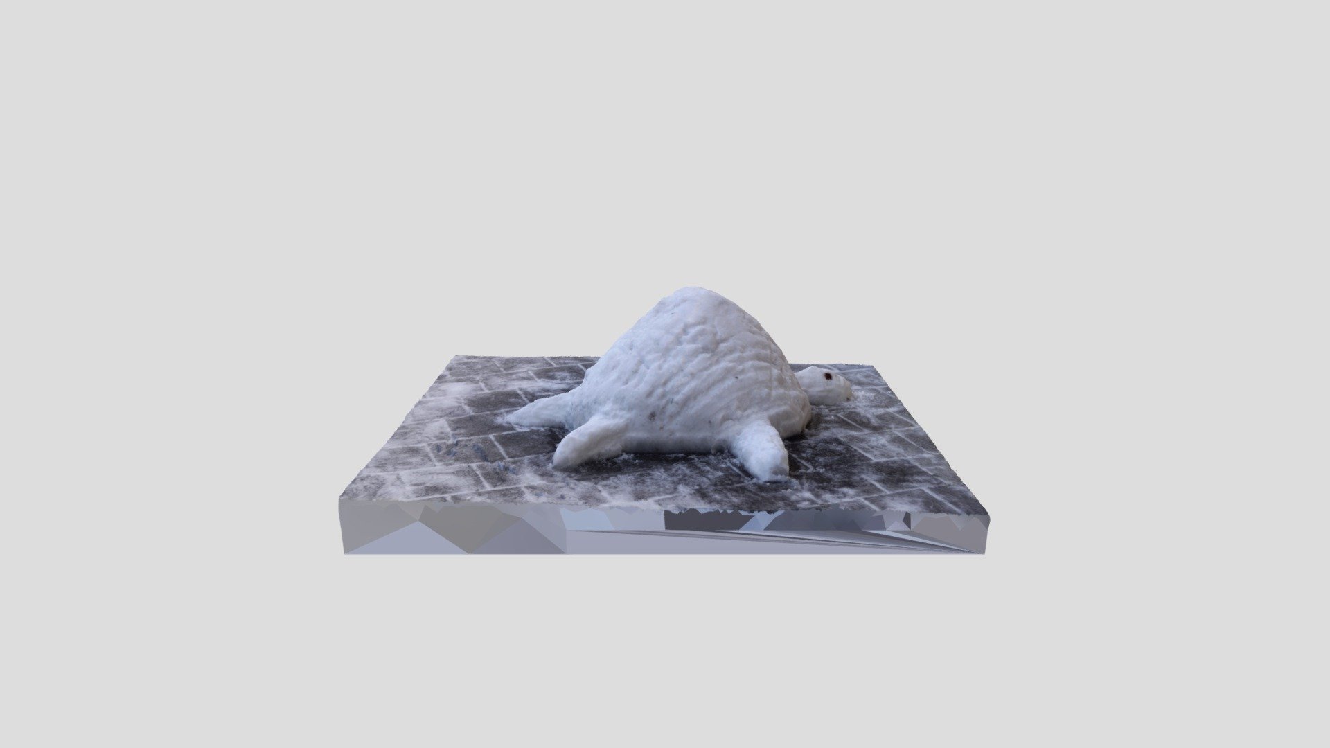 Snow Turtle - 3D model by birdfootprint (@MyLifeForAiur) [64ad54f ...