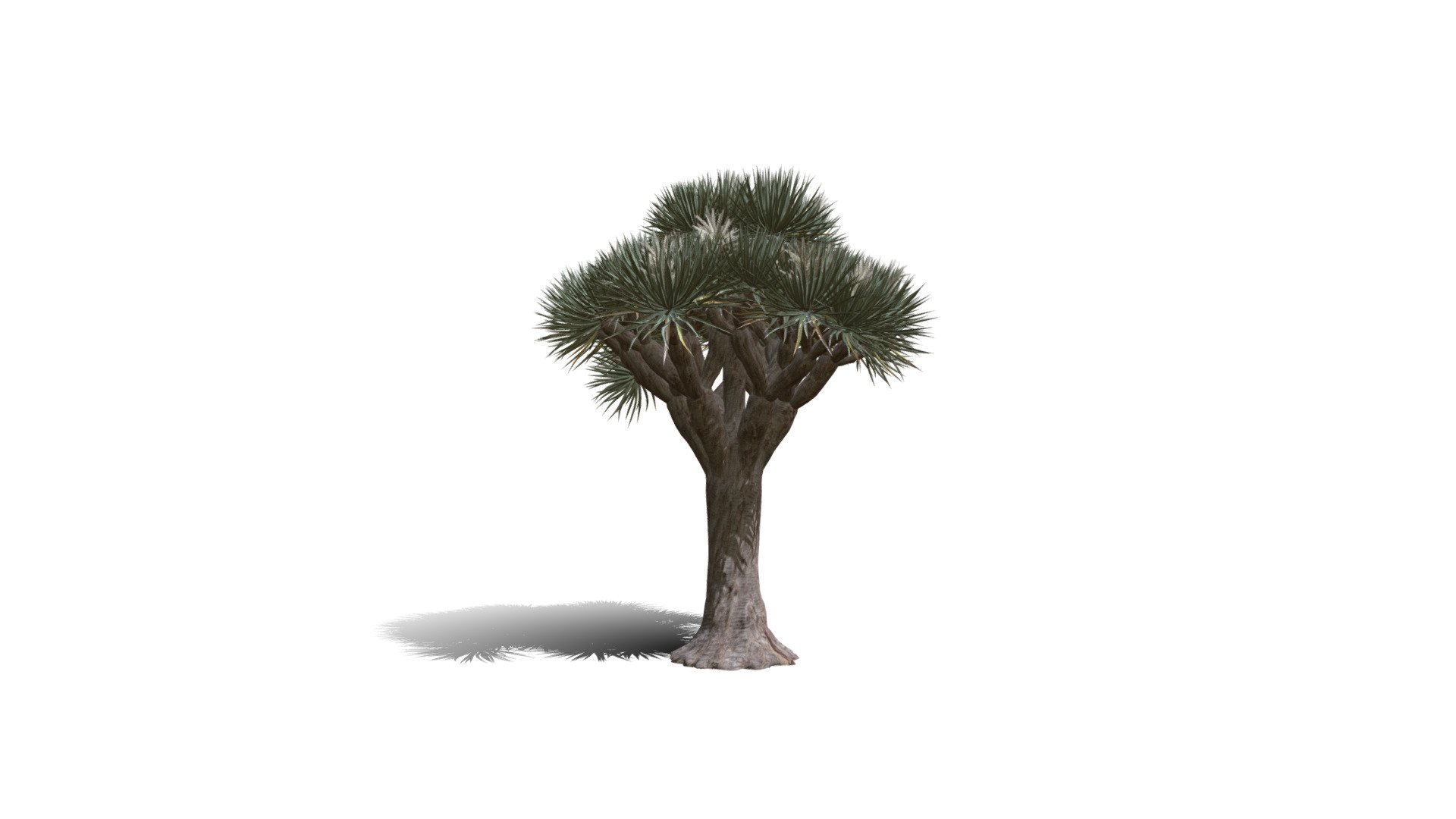Realistic HD Dragon tree (4/50) - Download Free 3D model by ...