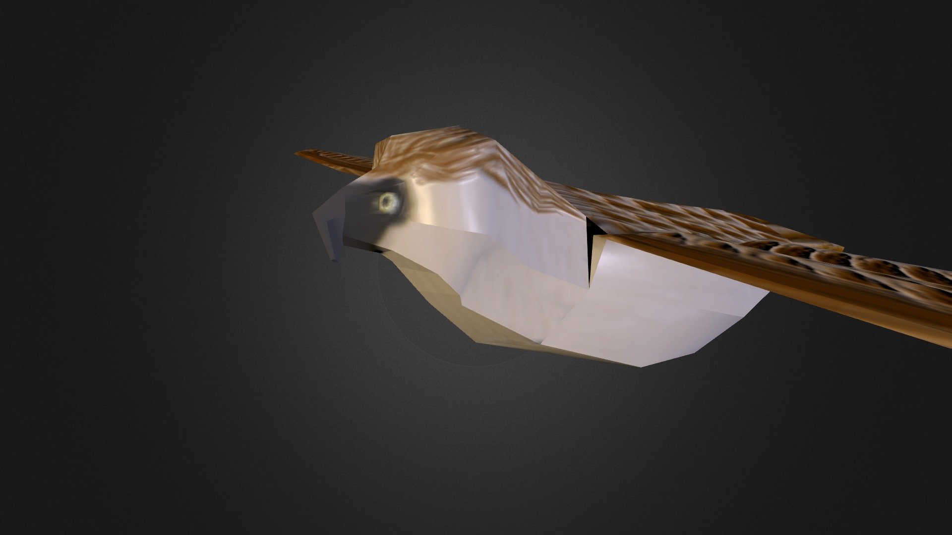 Bird3 - 3D model by gnarlax [64b8ee1] - Sketchfab