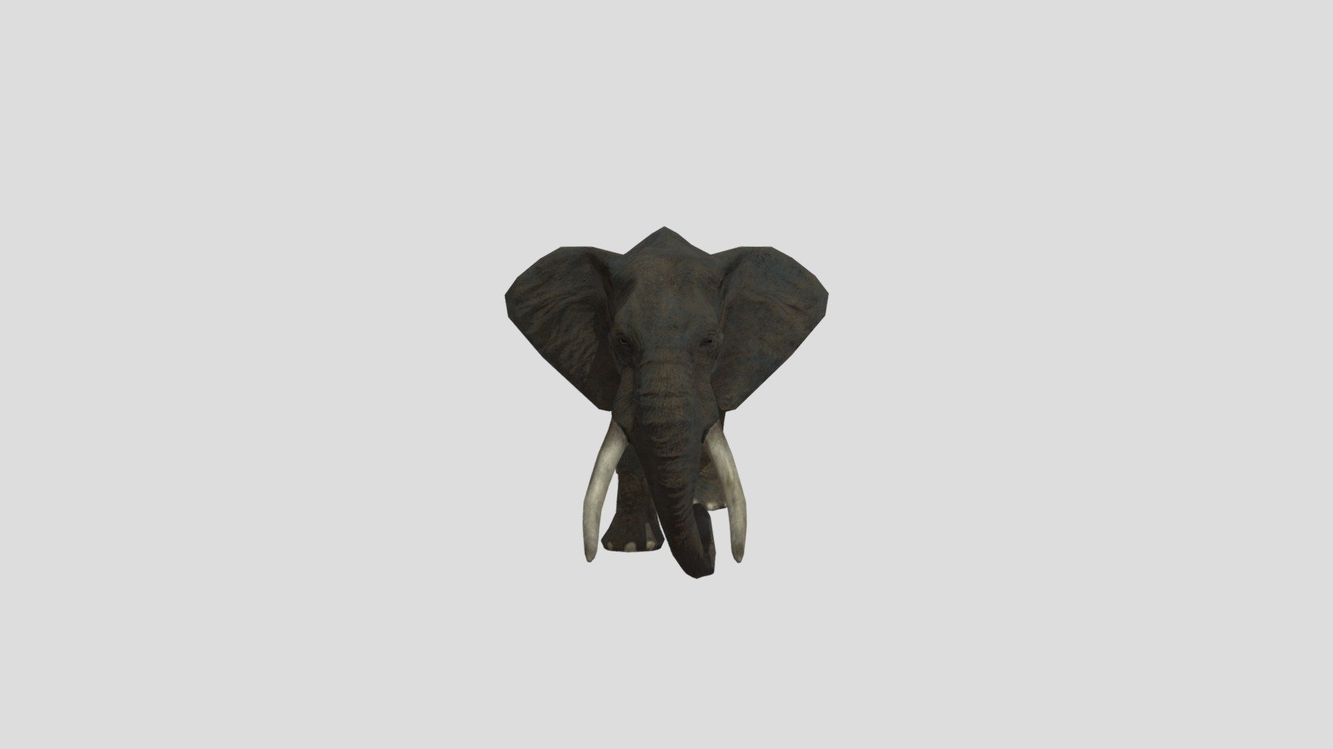 Elephant - Download Free 3D model by hendrikReyneke [64bced0] - Sketchfab