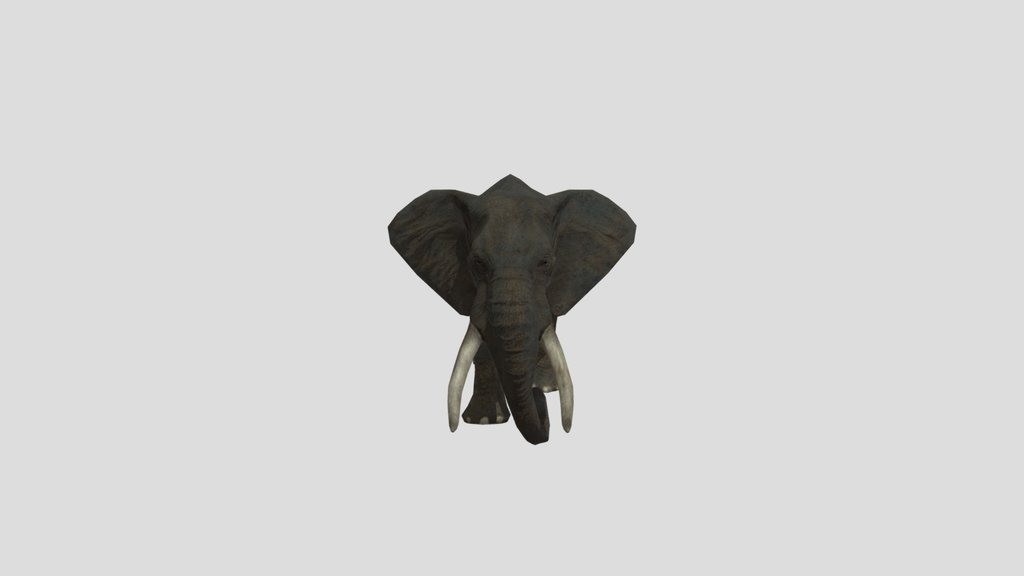 Wild-Animals - A 3D model collection by hendrikReyneke - Sketchfab