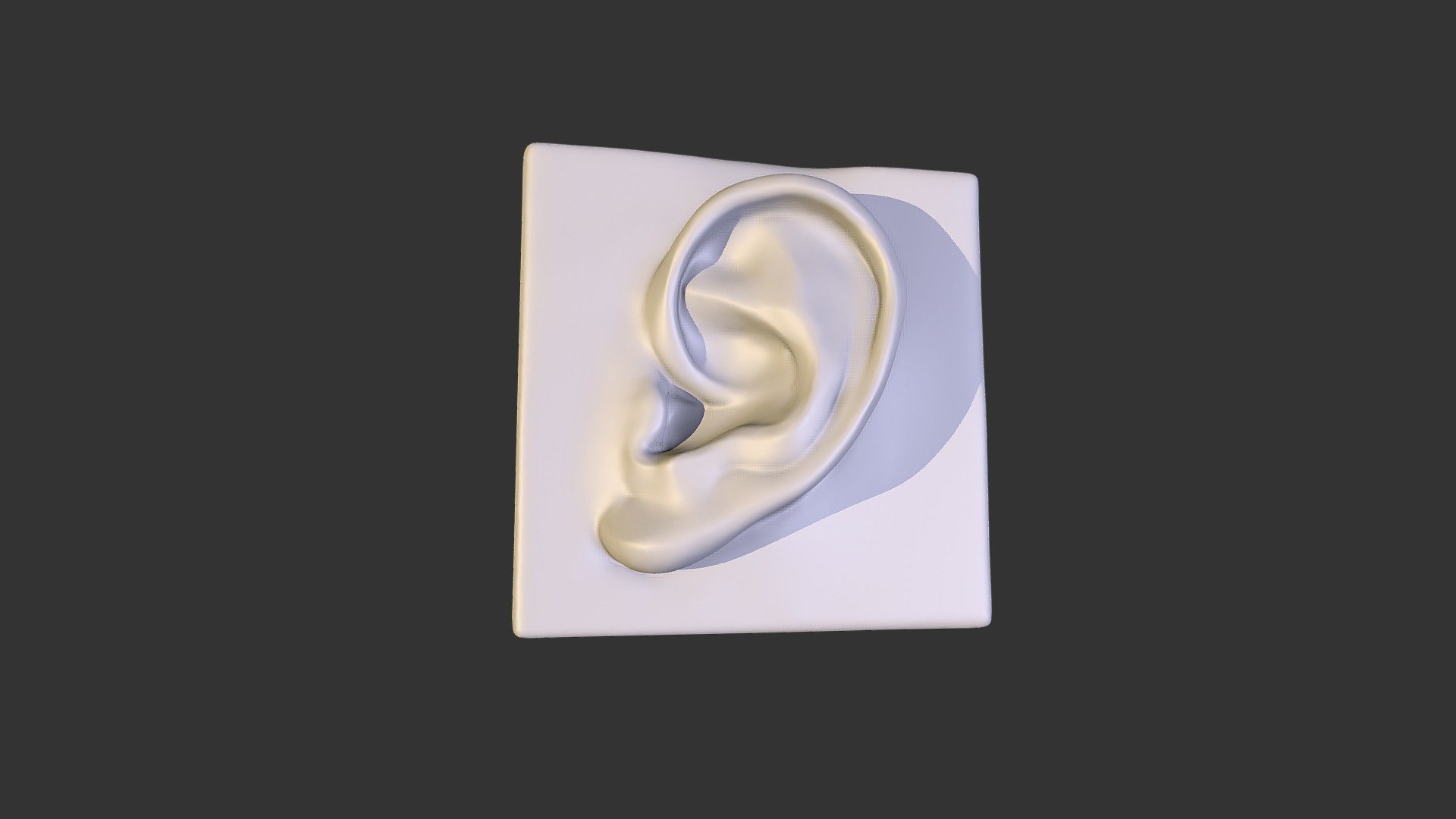 Ear - 3D model by mashul [64c0355] - Sketchfab