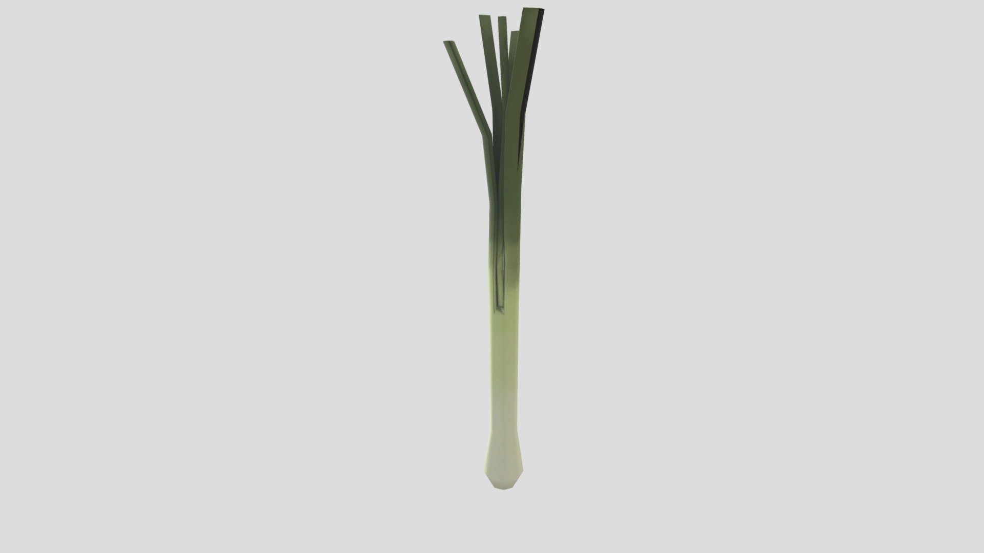 Leek Prop - Download Free 3D model by HiItsSterre [64c2646] - Sketchfab