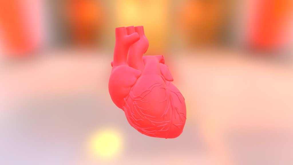 Heart - 3D model by dnyz21 [64c9121] - Sketchfab