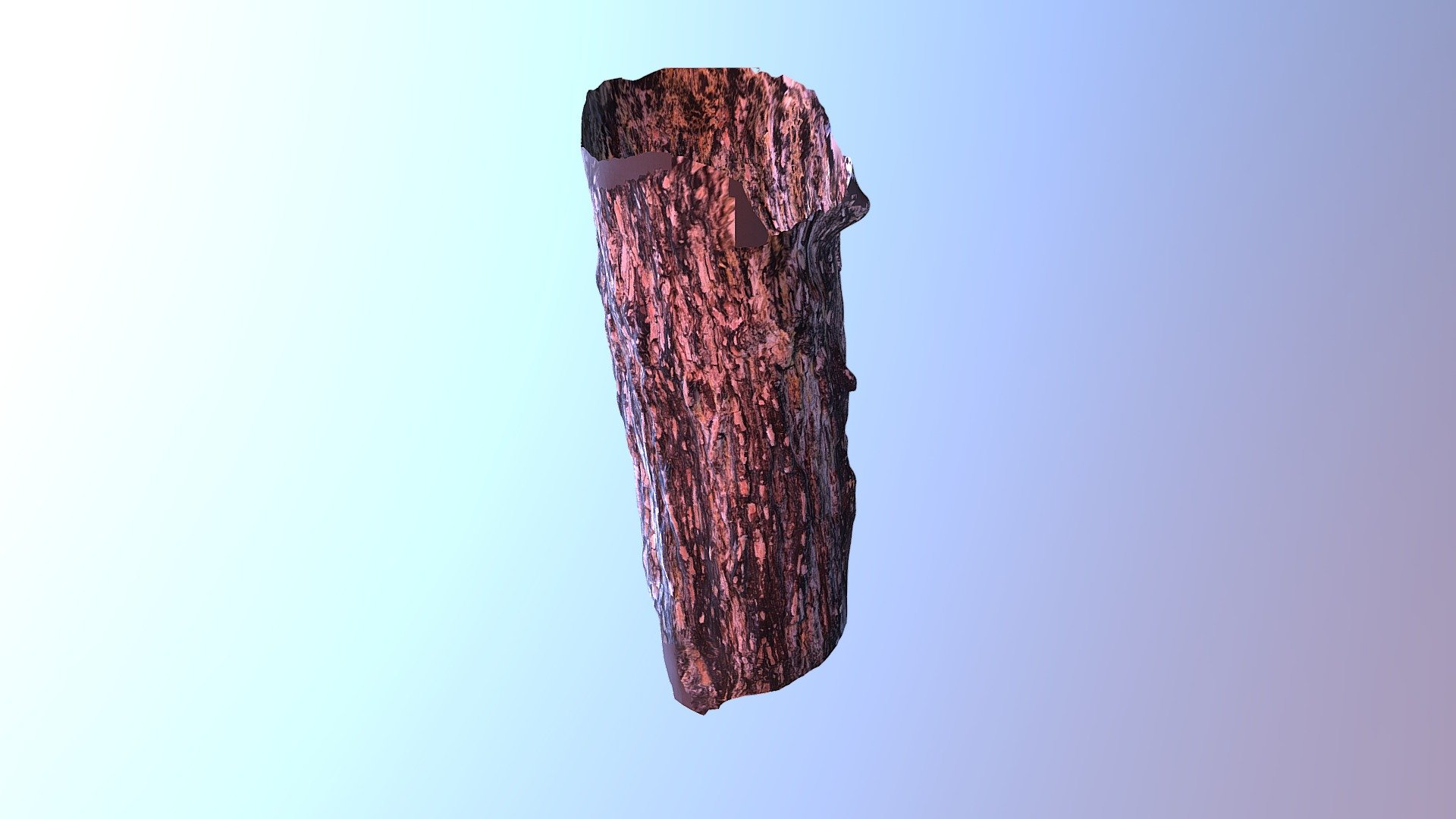 Sappy Tree Scan - 3D model by Hoodwinkedfool (@TimMorales) [64cf329 ...