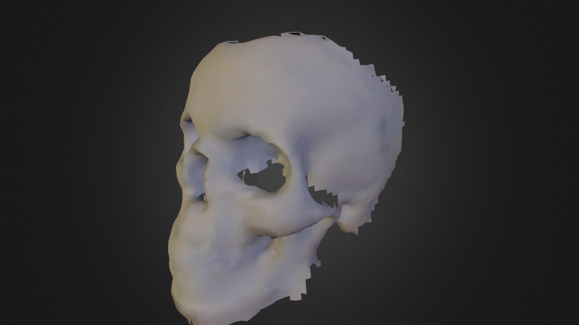 Skull - 3D model by davide.viggiano [64d552c] - Sketchfab